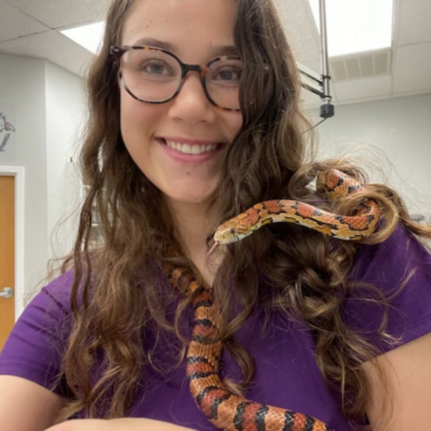 About West Cary Animal Hospital | Vet In Cary, NC 27519